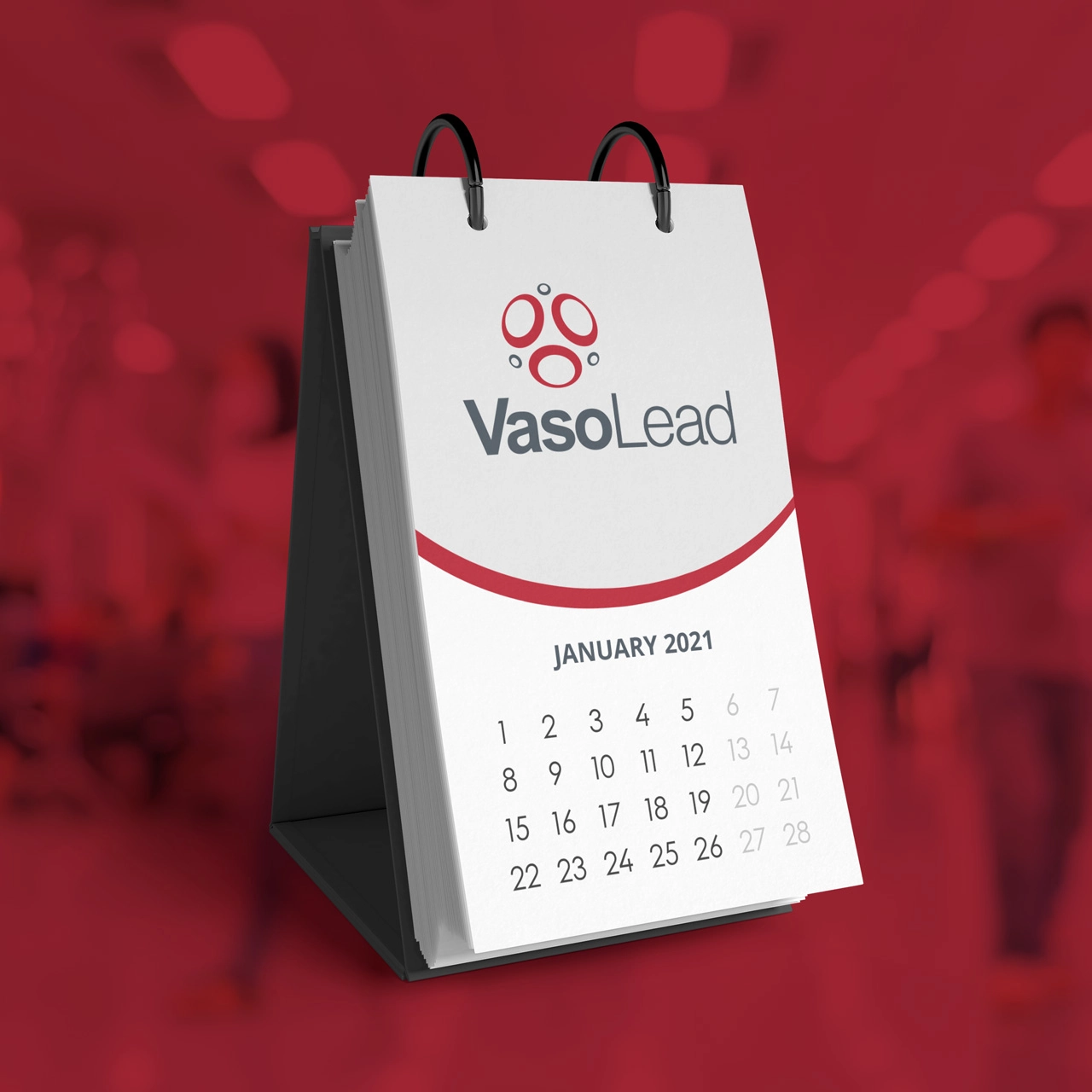 Branding and logo design for the VasoLead pharmaceutical company ...
